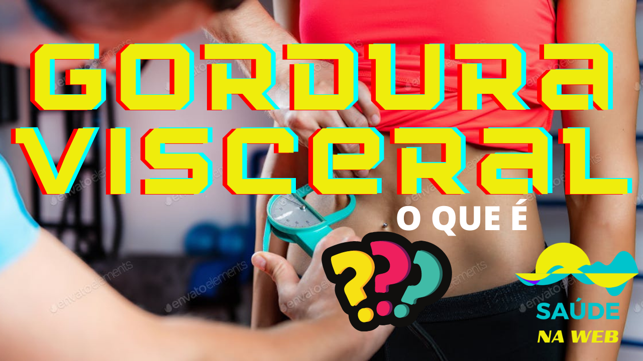 O Que É Gordura Visceral E Como Identificá-La No Seu Corpo